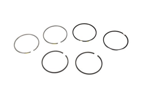 TATA Genuine Parts Set Piston Rings, 110 mm x 55 mm x 110 mm : Amazon ...