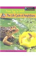 The Life Cycle of Amphibians: Spilsbury, Richard, Spilsbury, Louise ...