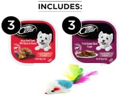 Cesar – Pan de comida húmeda suave para perros con salsa Angus sabor a ...