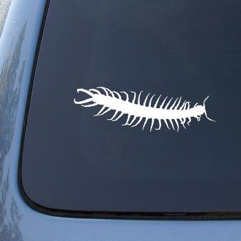 Amazon.com: Centipede - Car, Truck, Notebook, Vinyl Decal Sticker #2564 ...