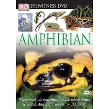 Amazon.com: Amphibians : Movies & TV