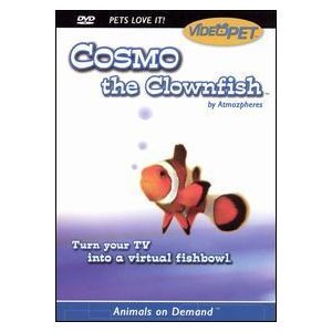 Amazon.com: Cosmo The Clownfish [DVD] : environments, Cosmo in many, G ...