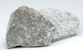 SciEd Individual Rock Specimens: Igneous Rocks; Andesite, hornblende ...