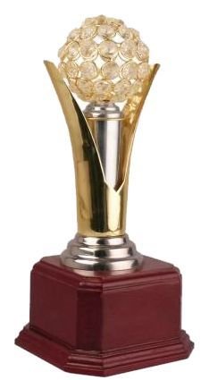 Trophykart FTK Diamond Award 100 A (30 cm) - Pack of 1 Trophy : Amazon ...