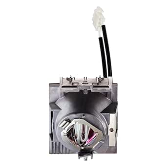 VIEWSONIC RLC-117 Lamp Manufactured by VIEWSONIC : Amazon.in: Electronics