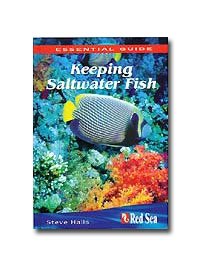 Keeping Saltwater Fish (Essential Guide) : Steve Halls: Amazon.de: Bücher
