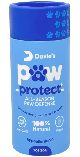 Get Your Paws on the Best Paw Paw Dog Products: Top 10 Picks and Buying ...