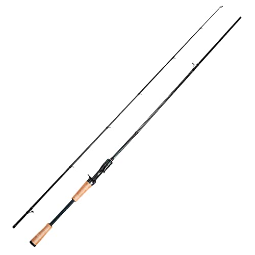 Top 10 Best 2 Piece Casting Rod : Reviews & Buying Guide - Katynel