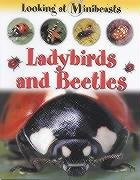 MINIBEASTS LADYBIRDS & BEETLES | Amazon.com.br