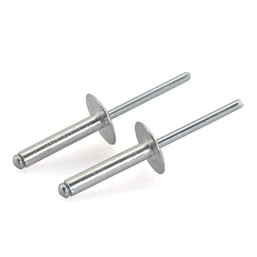 HJ Garden 60pcs 3/16 x 1 Inch (4.8x25mm) Large Flange Aluminum Blind ...