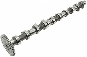 Amazon.com: Genuine 6120501801 Engine Camshaft : Automotive