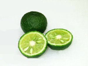Amazon.com: Jeruk LIMO LIMAU LIMU SAMBAL, Fresh Exotic Lime LIMO ...