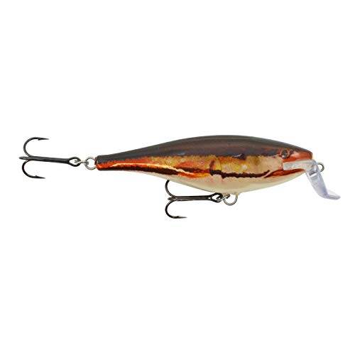 Rapala Super Shad Rap – Die 15 besten Produkte im Vergleich - Die ...