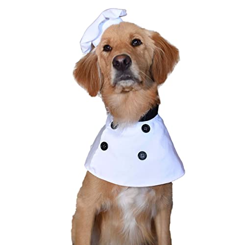 Food Halloween Costumes for Dogs – DogSwagery