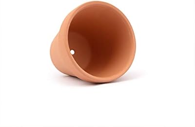 Amazon.com: 6 inch Clay Pots for Plants with Saucer, Large Terra Cotta ...