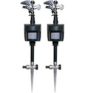 Amazon.com : Splanteen Motion Activated Sprinkler Deter Animal Cat ...