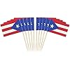 Amazon.com: JAVD CYPS 100 Pcs Puerto Rico Flag Puerto Rican Toothpick ...