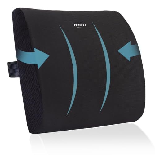 EASEFIT Orthopedic Lumbar Support Memory Foam Back Rest Cushion - Ideal ...
