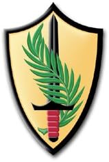 Amazon.com: United States Army Element Central Command Patch Decal ...