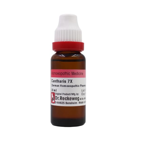Buy Dr Reckeweg Cantharis 7x (20ml) Online at Low Prices in India ...