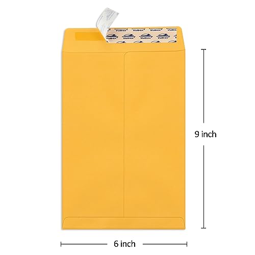 Snapklik.com : ValBox 6x9 Self Seal Catalog Security Envelopes 250 ...
