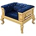 Amazon.com: Apex Casket Company Gothic Inspired Royal Blue Velvet ...