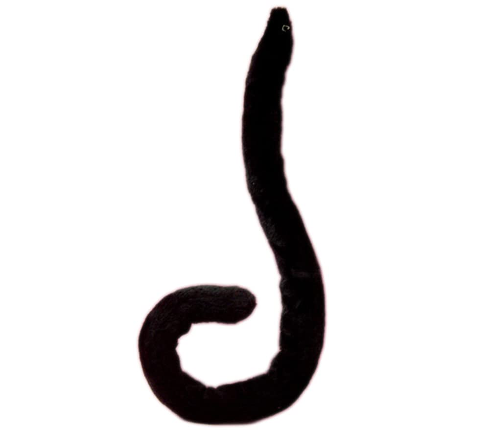 Transparent Cat Tail