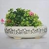 Rosette Ceramic Bonsai Pot : Amazon.in: Garden & Outdoors
