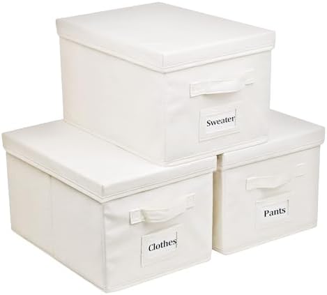 Amazon.com - Fordonral 3 Pcs Closet Storage Bins with Lids & Lable ...