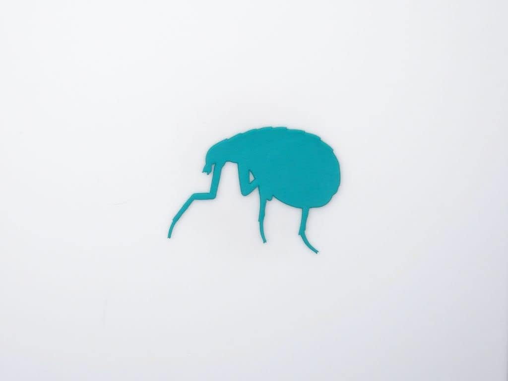 Amazon.com: Flea Bug 266-G215 Cookie Cutter: Home & Kitchen