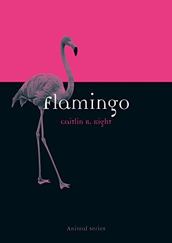 Flamingo (Animal) (English Edition) - eBooks em Inglês na Amazon.com.br