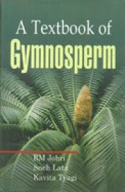 A Textbook of Gymnosperm: Johri, R M et al: 9789380642734: Amazon.com ...