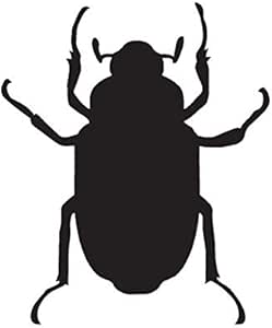 Amazon.com: Water Beetle Junebug Insect - Vinyl Decal Sticker - 3.75" x ...