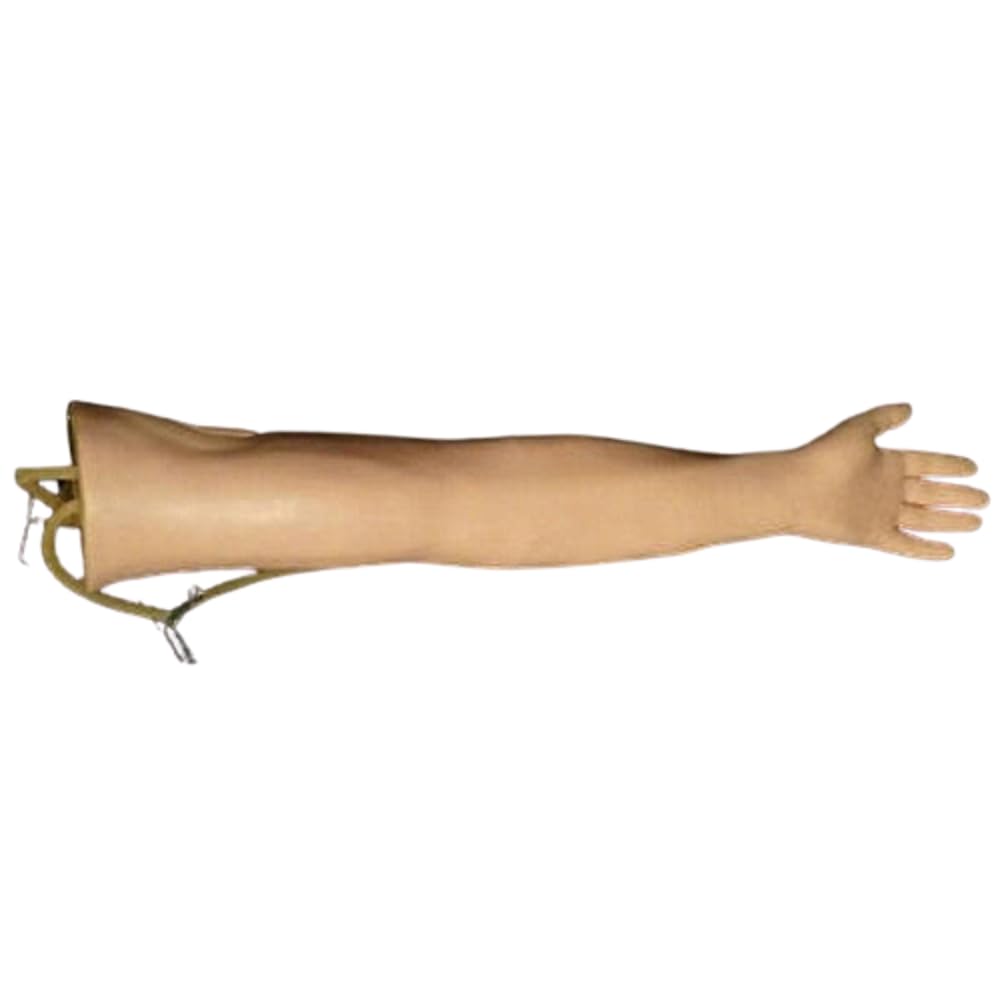 Ajantaexports Injection Arm Model Anatomical Training Model Human Arm ...