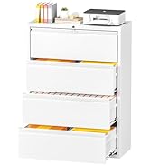 Amazon.com: INTERGREAT Lateral File Cabinet 2 Drawer Black, Metal 2 ...