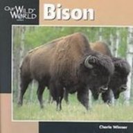 Bison (Our Wild World) : Amazon.in: Books