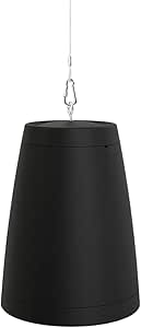 Amazon.com: OSD Nero ARC 8 Inch Professional Hanging Pendant Subwoofer ...