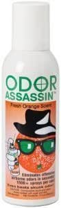 Amazon.com: ODOR ASSASSIN Fresh Orange Scent 6 Oz. : Health & Household