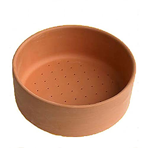 Buy Verdant Republic Single Clay Sprouter Germination Tray, Unglazed ...