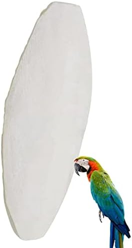 Bird Cuttlebone Parakeet - 10 Chewing Cuttlefish Bone Toy | Natural ...