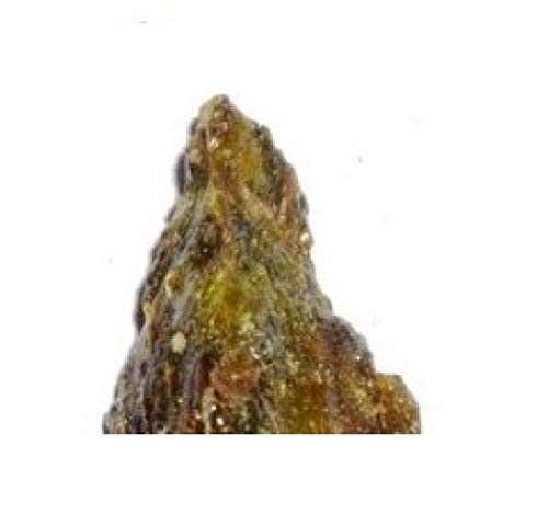 Buy ShubhBhakti™ DIKAMALI GUM Gardenia Gummifera Cambi Gum Resin WHOLE ...