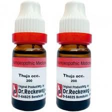 Buy Thuja Occ 200 (Dr.Reckeweg) | 11ml X 2 | S&S Online at Low Prices ...