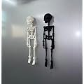 2 Pcs Poseable Skeleton Refrigerator Magnets 3D Printed Decorative ...