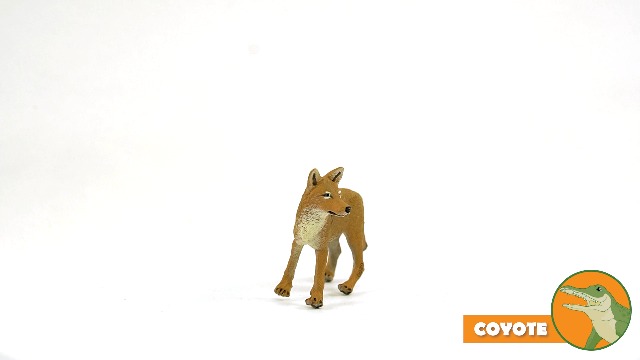 Cam Manyawu Safari Ltd Coyote Toy Figure - Realistic 6.5 Inch Plastic ...