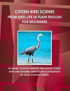 Citizen Bird Scenes from Bird-Life in Plain English for Beginners ...