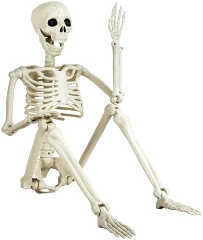 Amazon.com : XONOR 5.9ft Halloween Life Size Skeleton Halloween ...