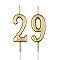 Amazon.com: 29th & 92nd Birthday Candles, Champagne Gold Number 29 92 ...