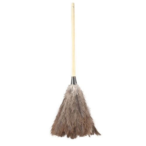 Amazon.com: Unisan 20GY 20" Length, Gray Ostrich Feather Duster with 10 ...