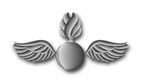 Navy Eo Rating Badge