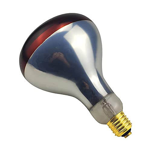 Snapklik.com : BONGBADA 2 Pack Heat Lamp Bulb R40 250 Watt Roasted Red ...
